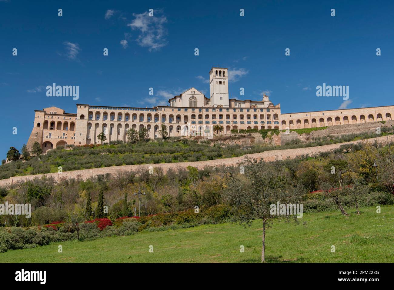 Basilica of Saint Francis of Assisi, Italy Stock Photo - Alamy