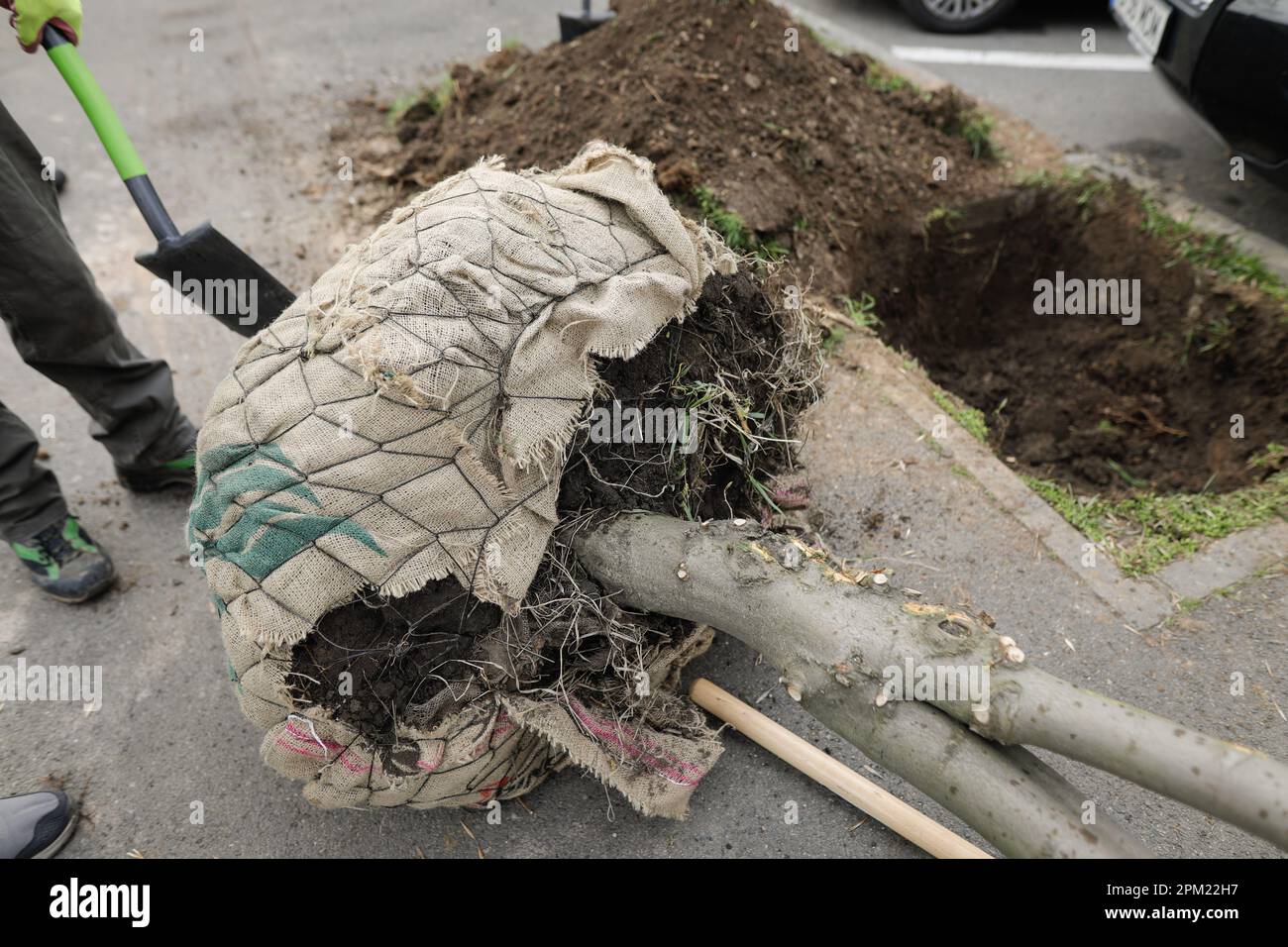 Shallow depth of field (selective focus) details with people planting a ...