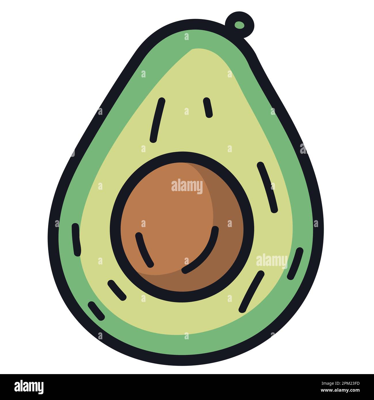 cut in half round avocado fruit vector minimalist illustration Stock ...