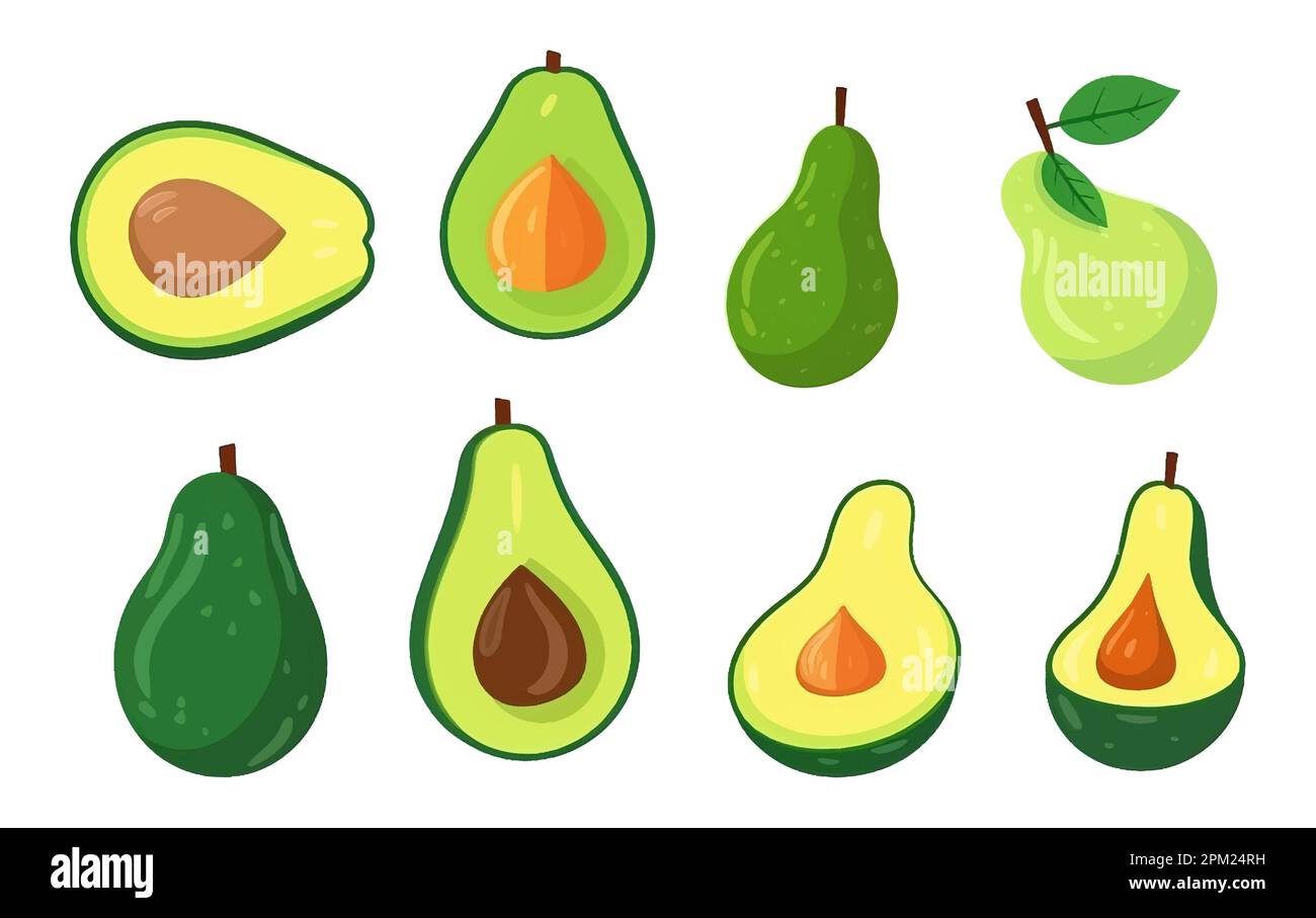 Cut half avocado isolated illustration Stock Vector Images - Alamy
