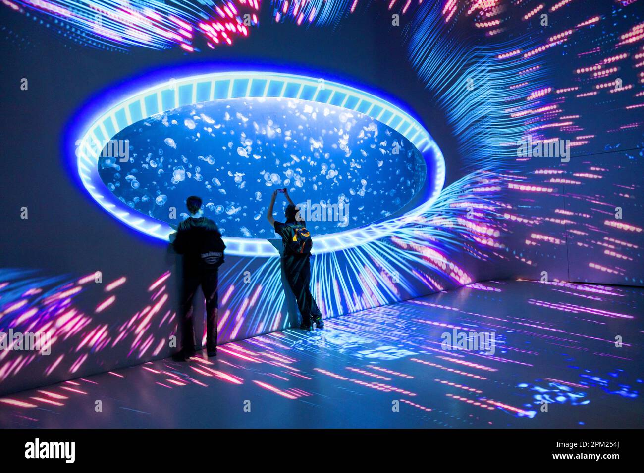 Meduzarium Svět medúz, Obchodní centrum Arkády Pankrác, Praha, Ceska ...