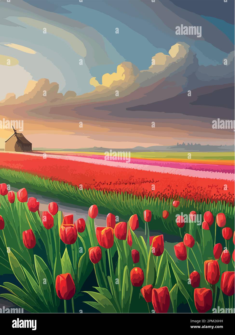 Spring tulip landscape at sunset Stock Vector Images - Alamy