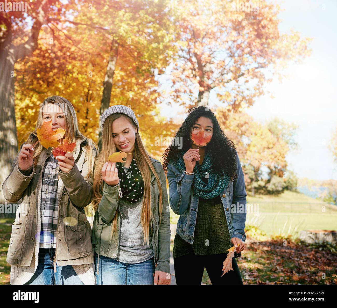 Smiles in the sunshine. a group of teenage friends enjoying an autumn ...