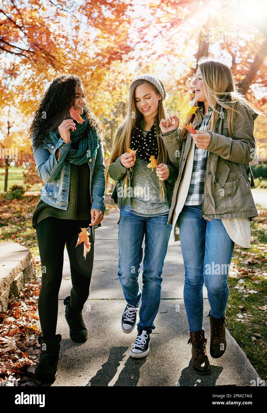 Making the best of autumn together. a group of teenage friends enjoying ...
