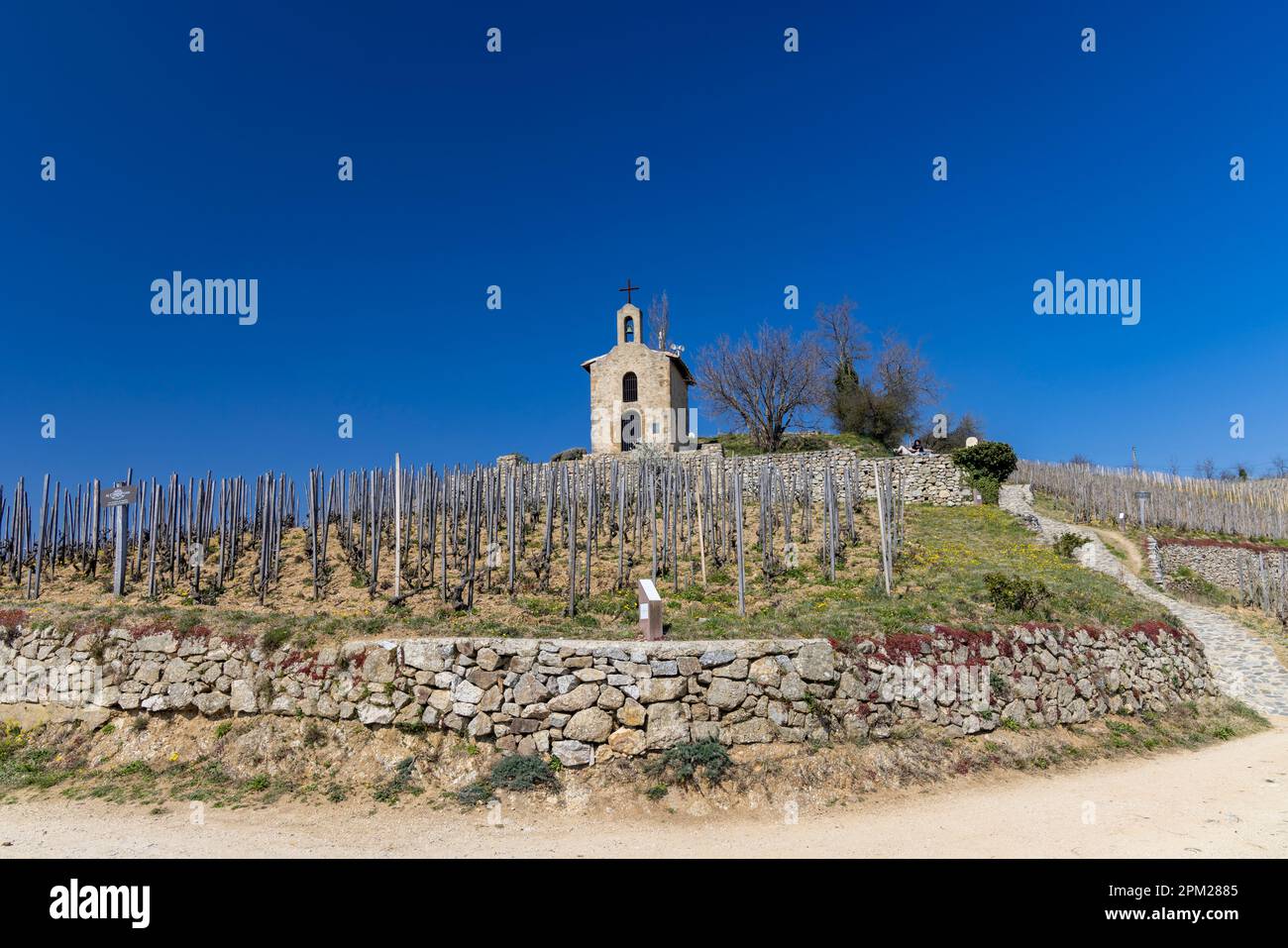 Grand cru vineyard and Chapel of Saint Christopher, Tain l'Hermitage ...
