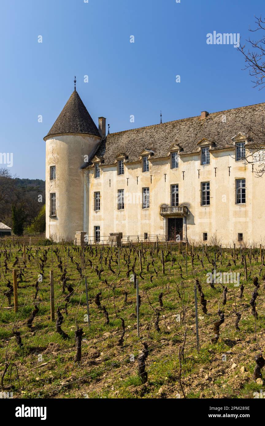 Savigny-les-Beaune castle (Chateau de Savigny-les-Beaune), Cote de ...