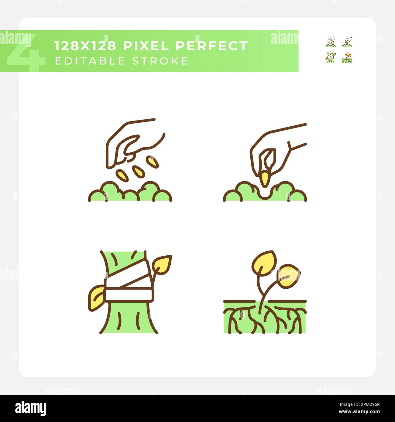 Growing plants green RGB color icons set Stock Vector Image & Art - Alamy
