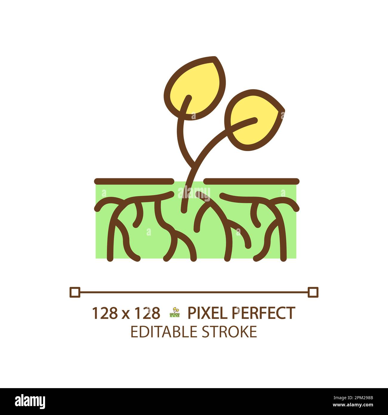 Rooting plant Stock Vector Images - Alamy