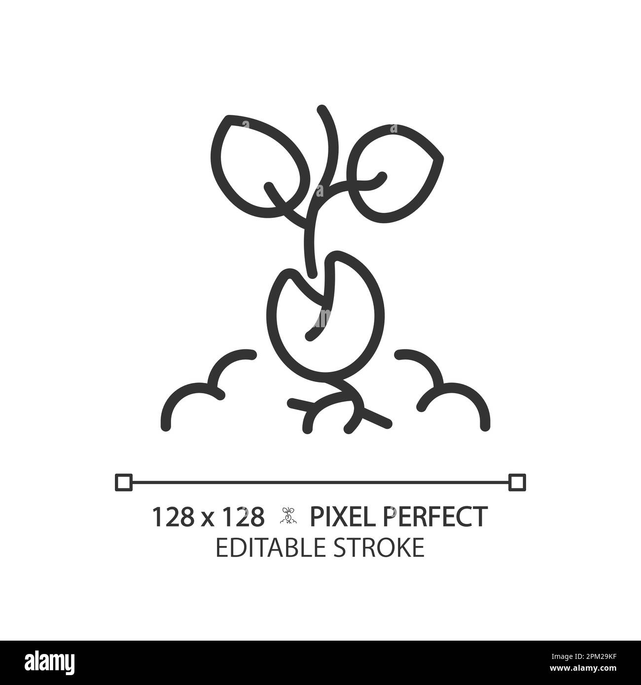 Germination linear icon Stock Vector Image & Art - Alamy