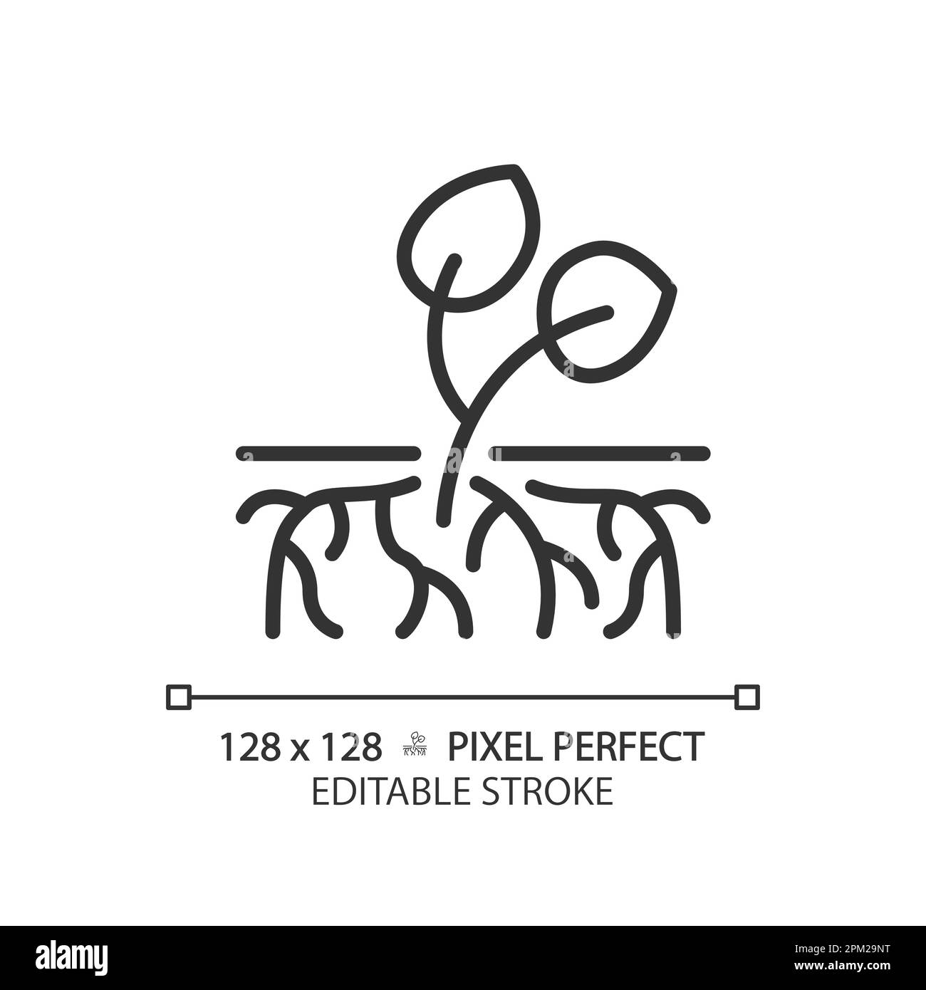 Rooting plant cutting linear icon Stock Vector Image & Art - Alamy