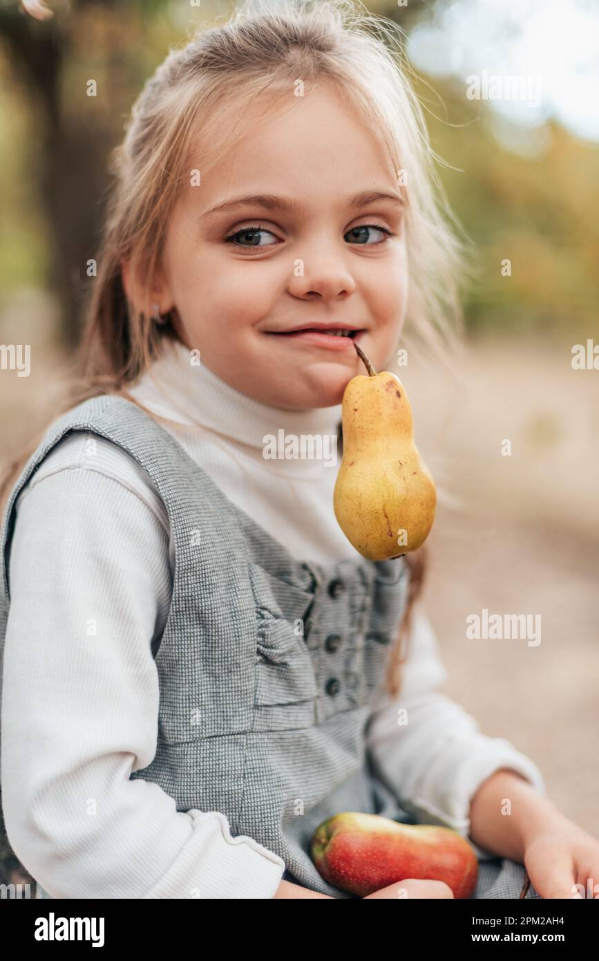 Child picking pears on farm in autumn. Little girl playing in pears ...