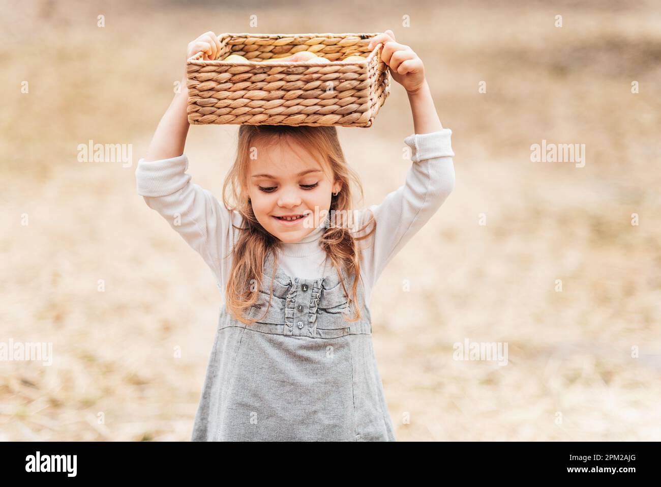 Child picking pears on farm in autumn. Little girl playing in pears ...