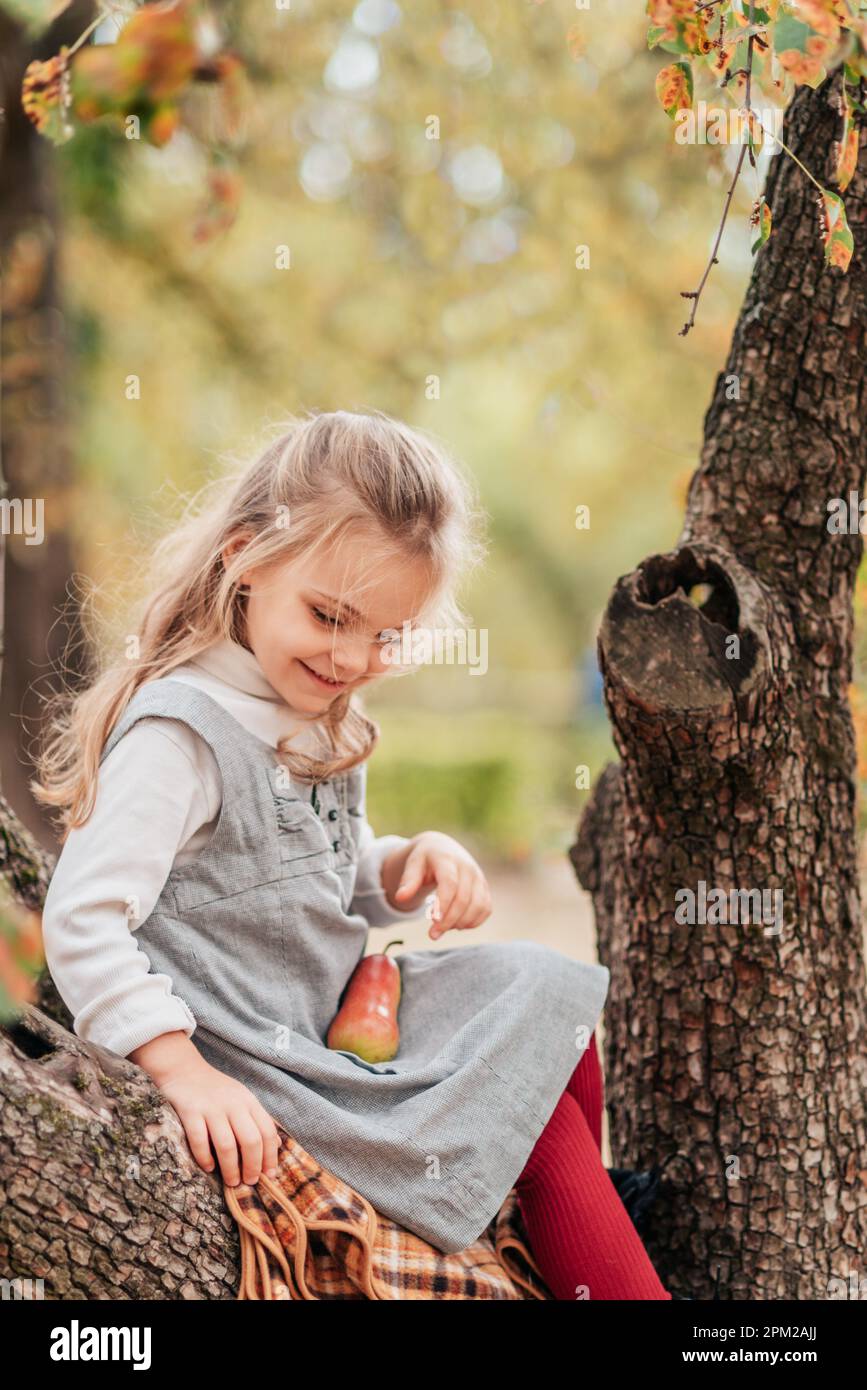 Child picking pears on farm in autumn. Little girl playing in pears ...