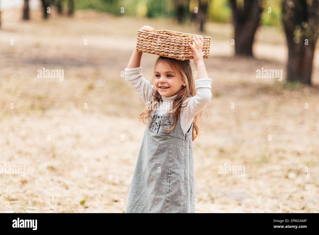 Child picking pears on farm in autumn. Little girl playing in pears ...