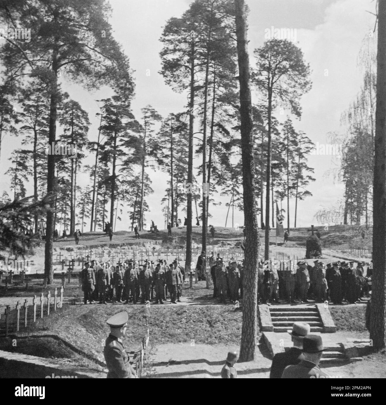 Historical World War II, 1940s, photo of a German Wehrmacht member in ...