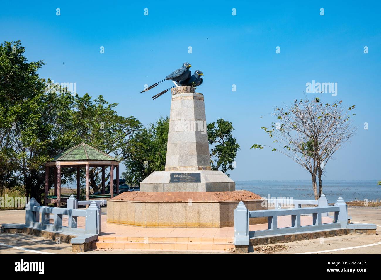 Statue of a pair White-eyed River-Martin (Pseudochelidon sirintarae ...
