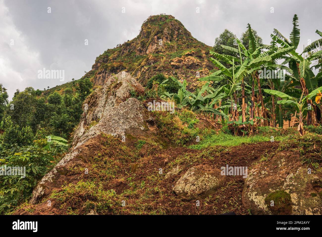 Wanale hill hi-res stock photography and images - Alamy