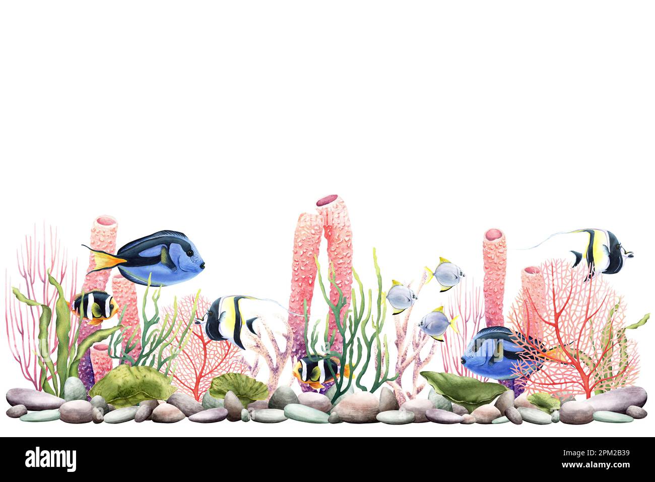 Sea Creature Border Clip Art Underwater World Clipart With Sea