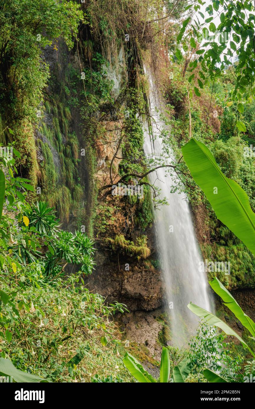 Scenic view of Sipi waterfall in Kapchorwa, Mount Elgon region, Uganda ...