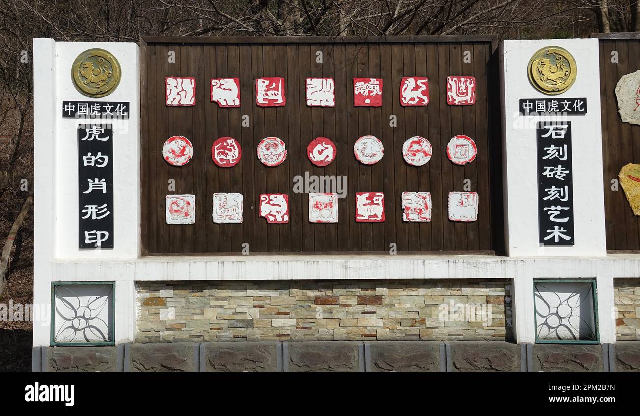 Visit the Siberian Tiger Park in Mudanjiang City, northeast China's ...