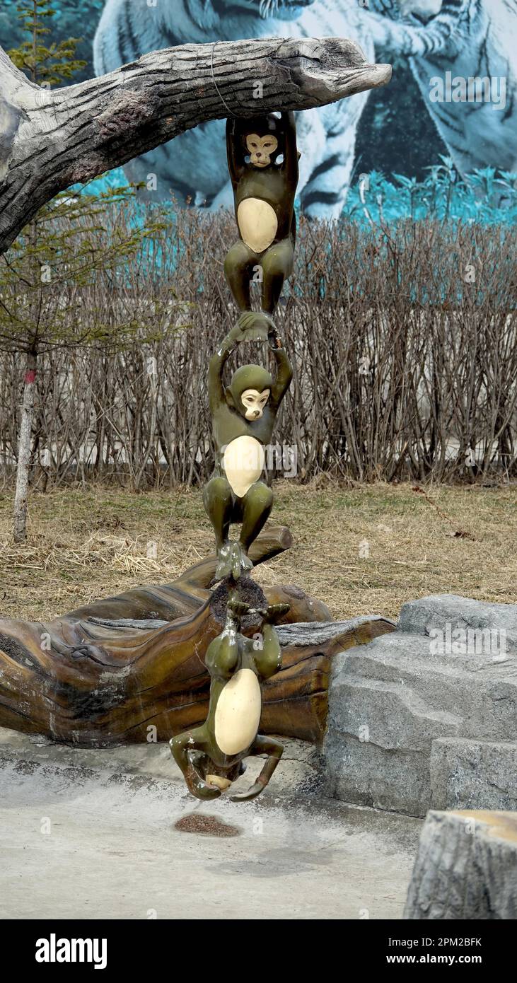Visit the Siberian Tiger Park in Mudanjiang City, northeast China's ...