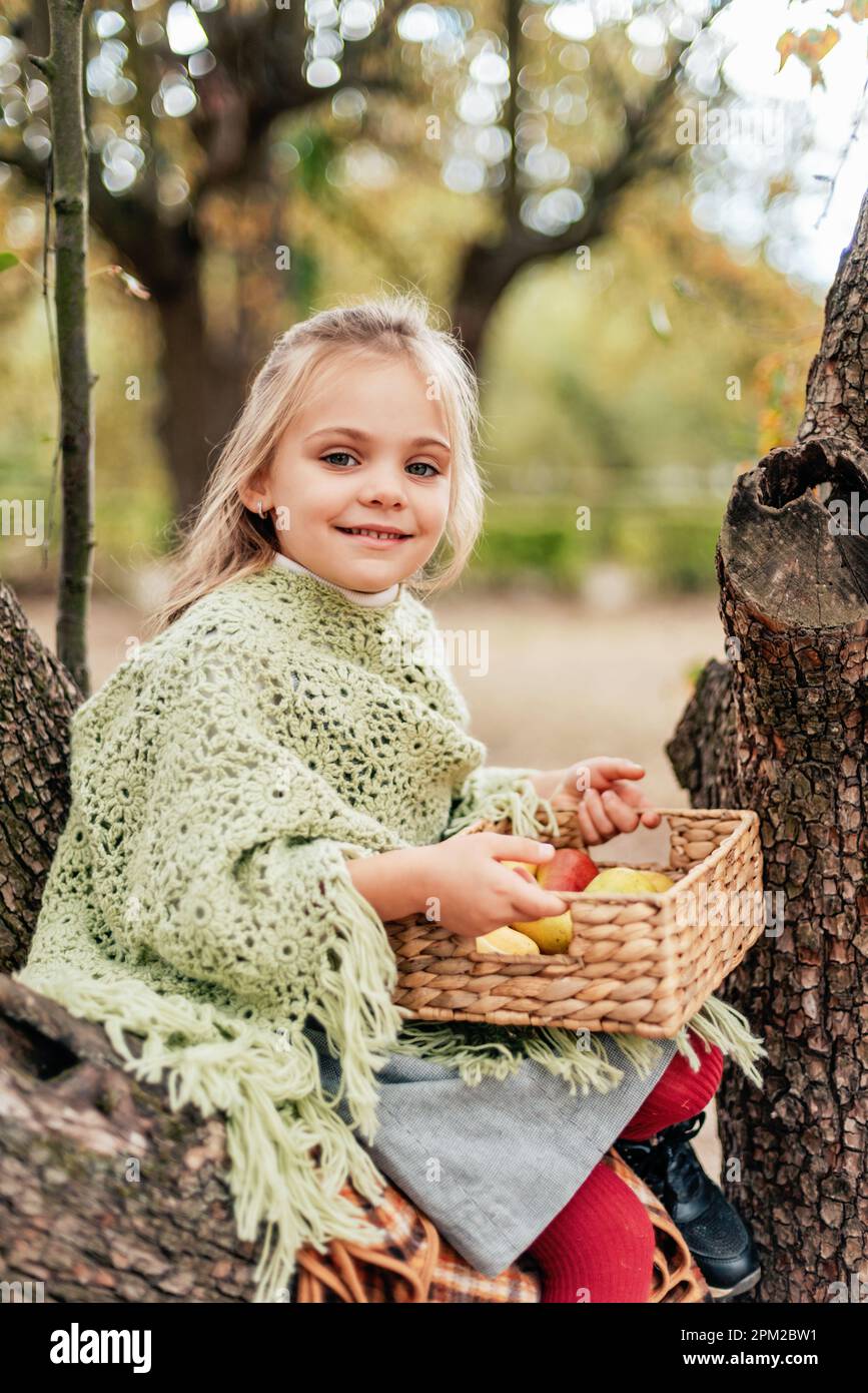 Child picking pears on farm in autumn. Little girl playing in pears ...