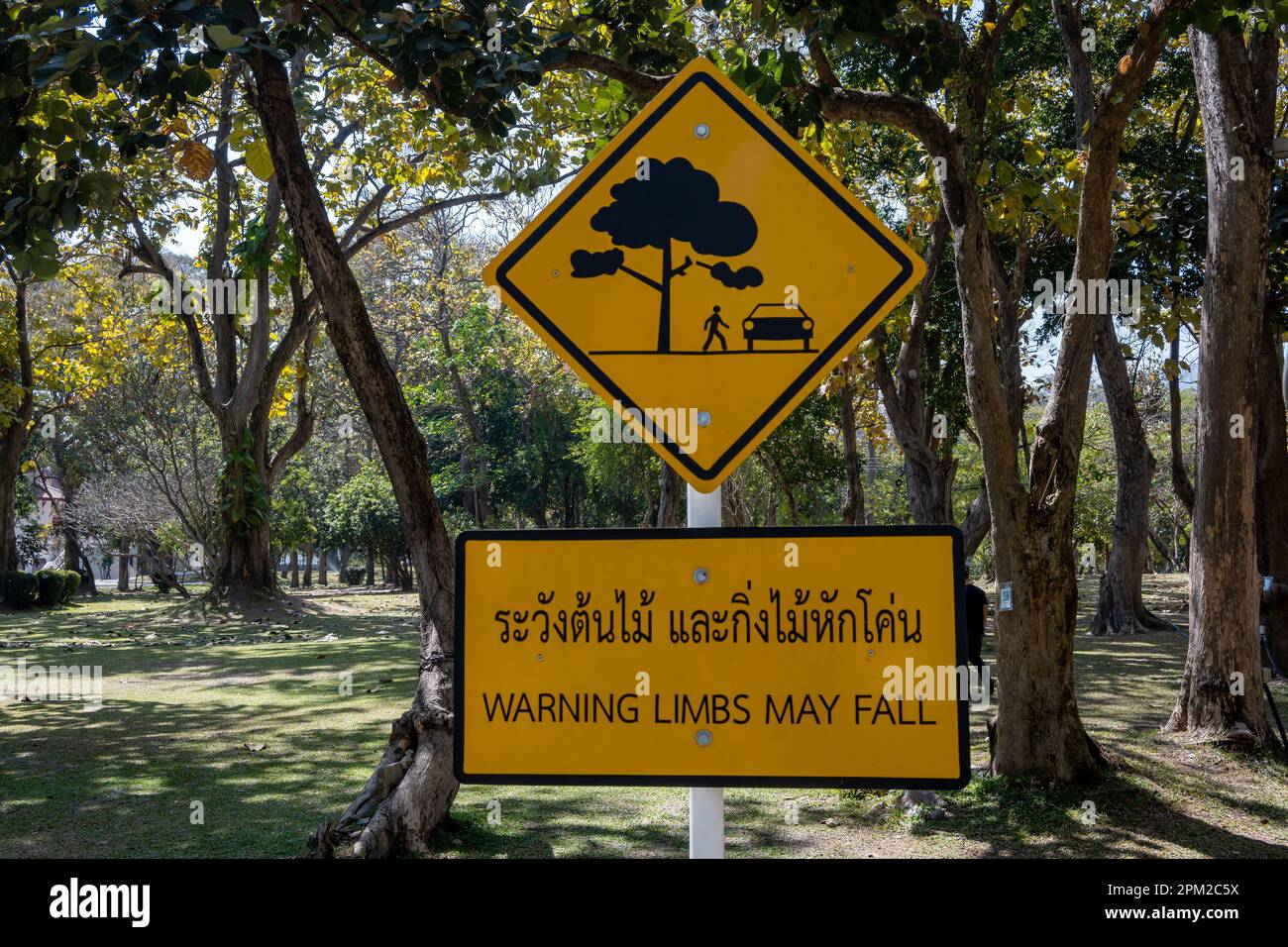 A street sign warning falling tree limbs. Chiang Mai, Thailand Stock ...