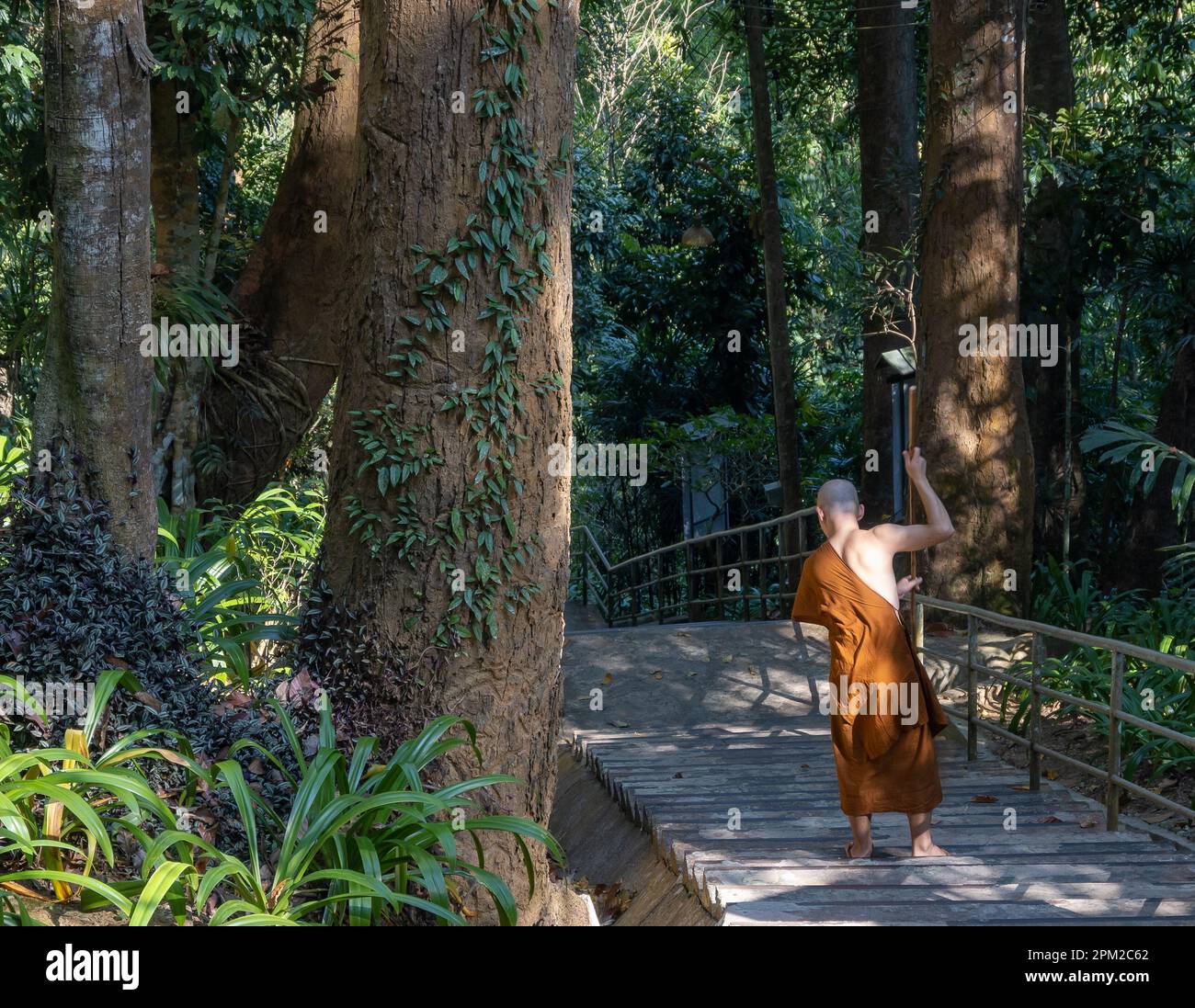 Sweep of steps hi-res stock photography and images - Alamy