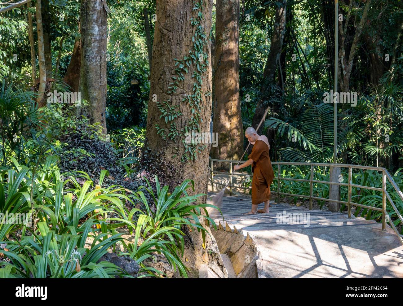 A young Buddhist monk sweeping stone steps to the temple. Chiang Mai ...
