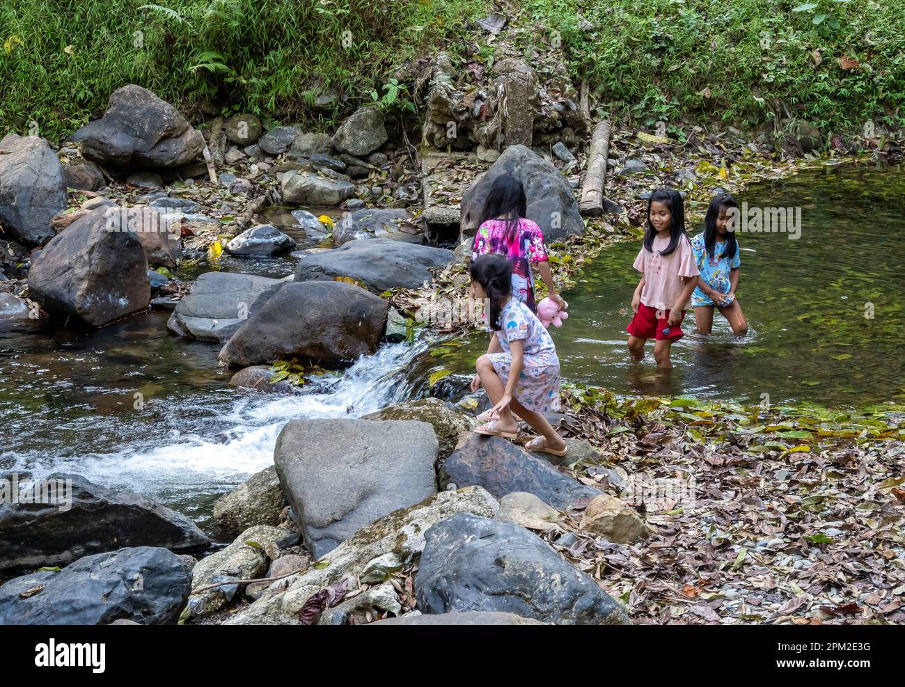 Young girls play in the water along a creek. Khao Sok National Park ...