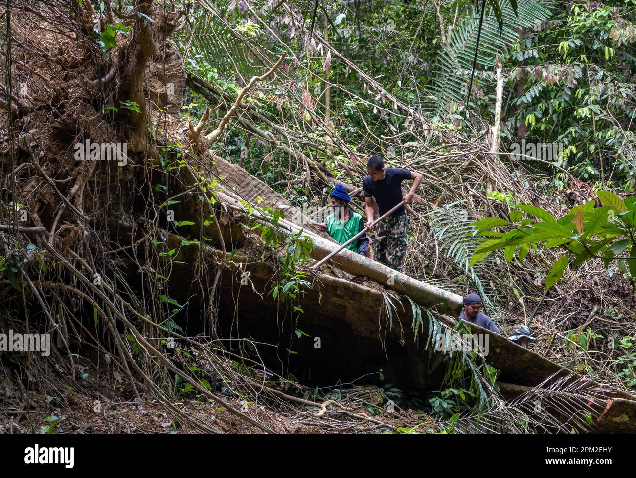 Krungching hi-res stock photography and images - Alamy