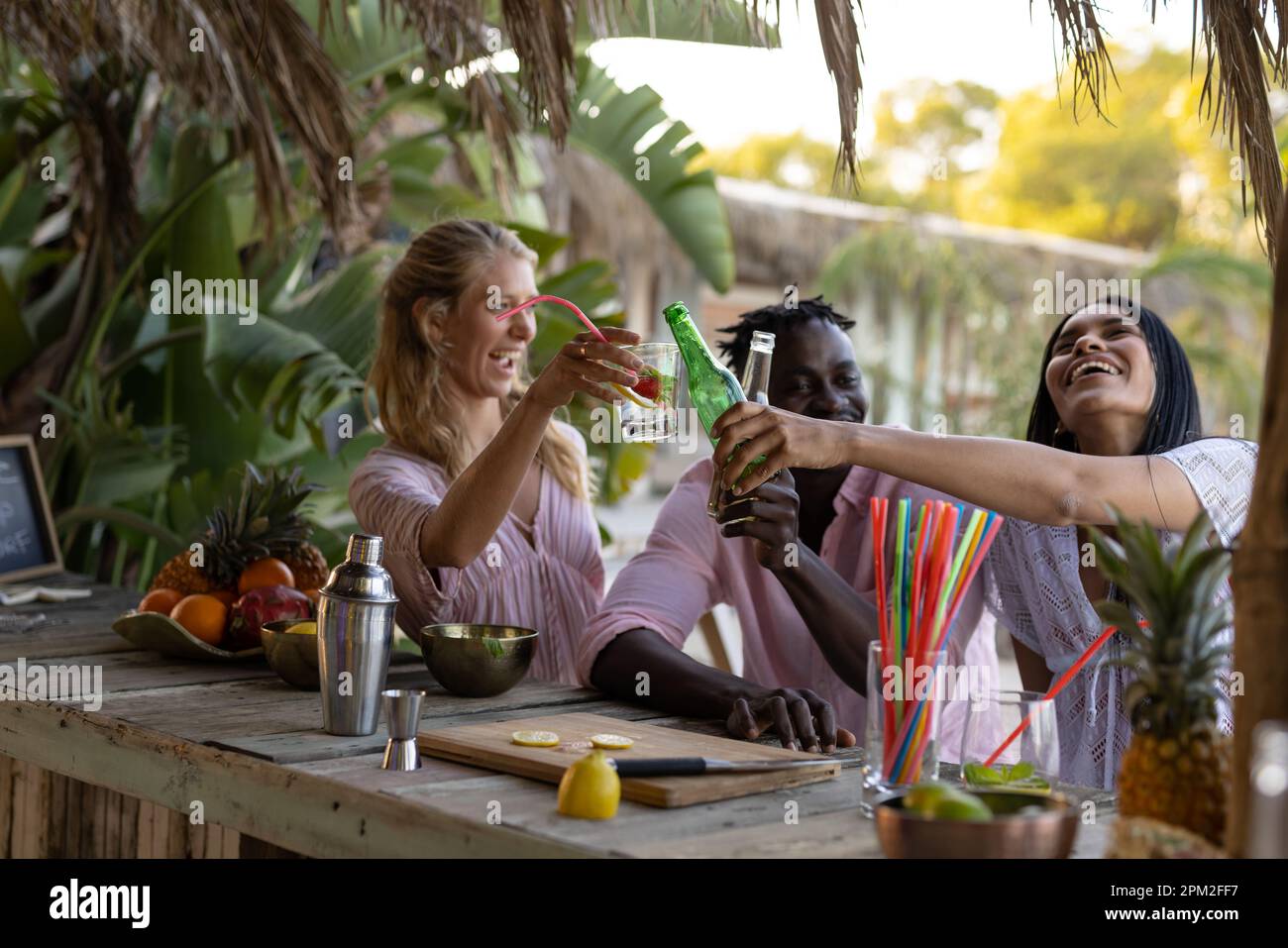 Happy diverse friends having party at beach, making a toast Stock Photo ...