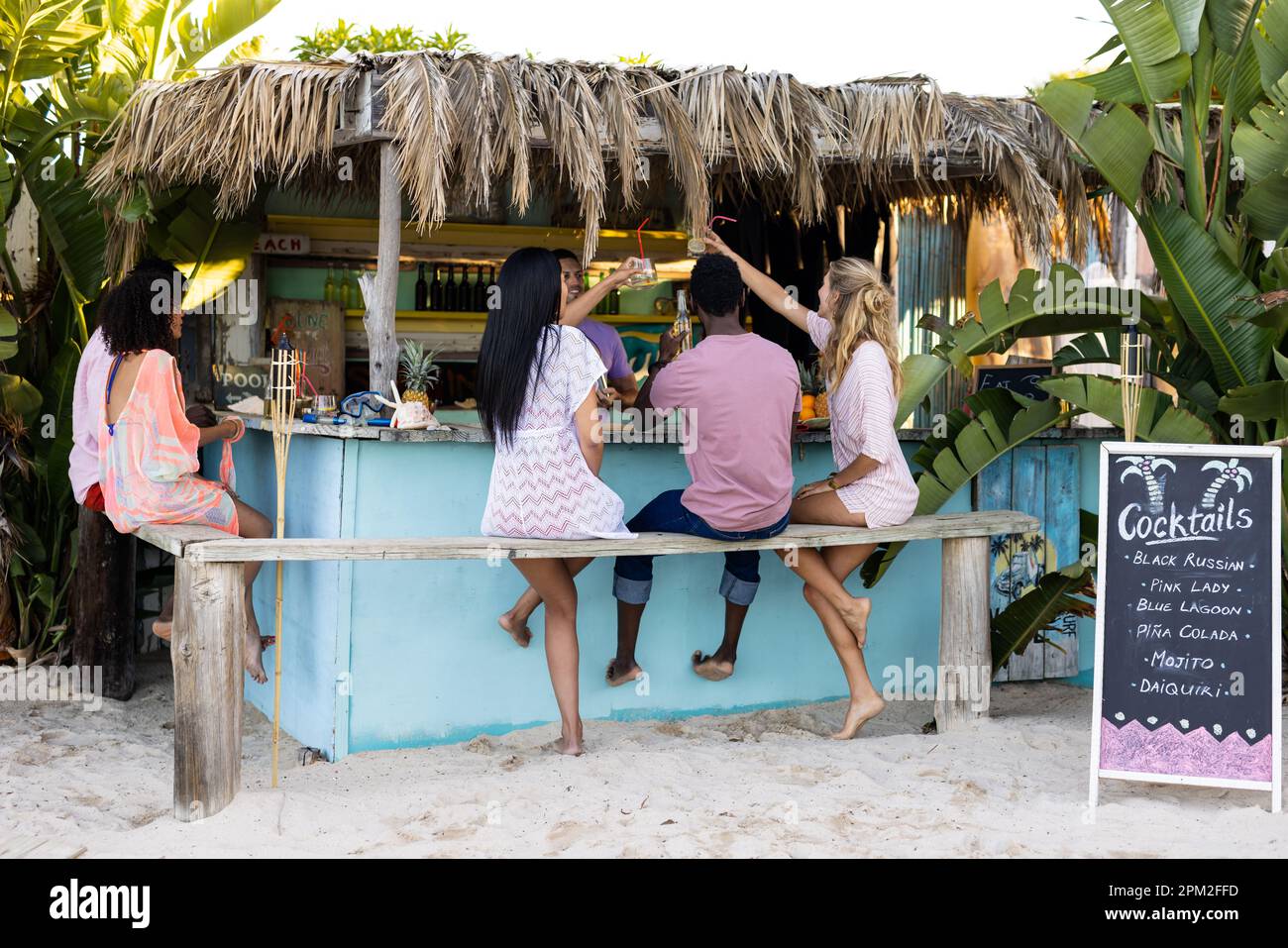 Happy diverse friends having party at beach, making a toast Stock Photo ...