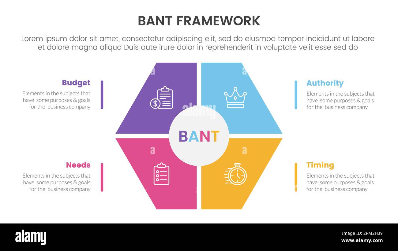 bant sales framework methodology infographic with honeycomb shape on ...