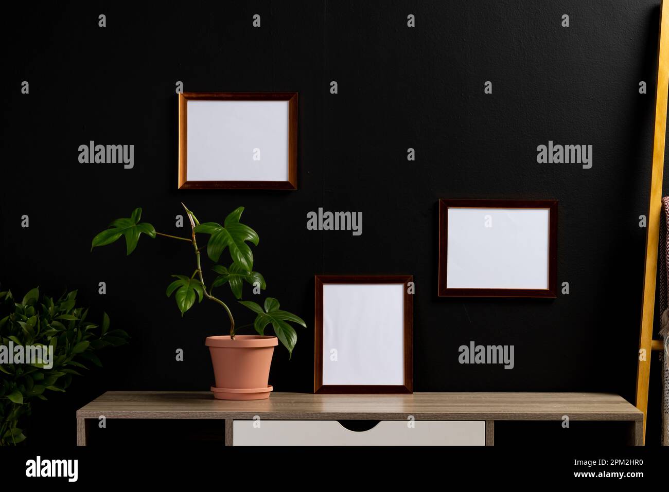 Brown empty frames with copy space and plants in pots on desk against ...