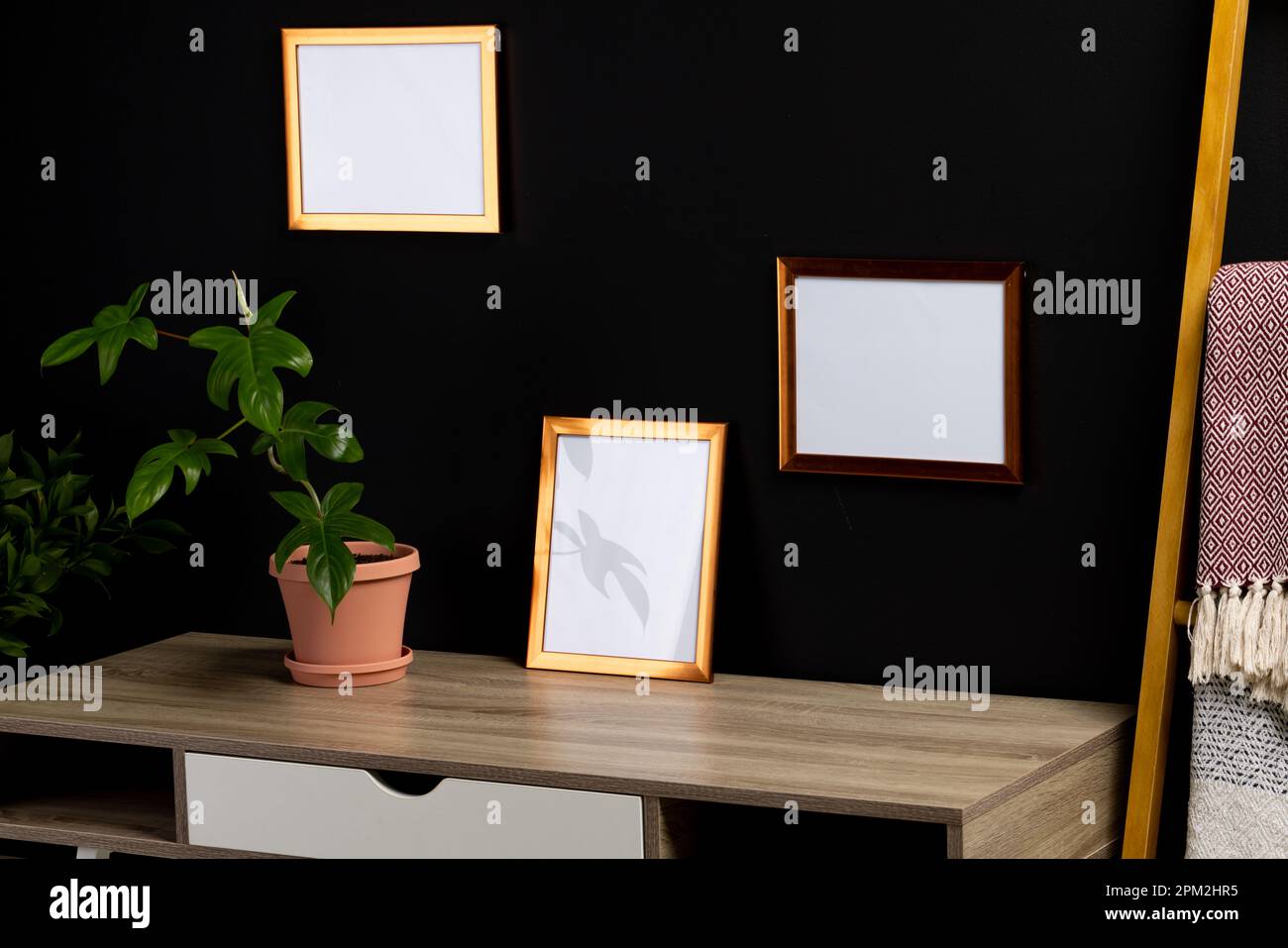 Brown empty frames with copy space and plants in pots on desk against ...