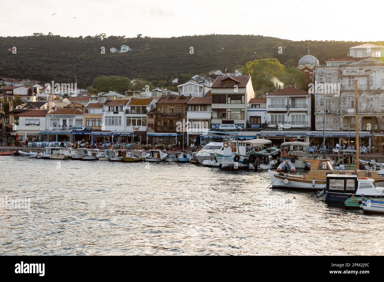 different yachts and houses near embankment of Princess islands in ...