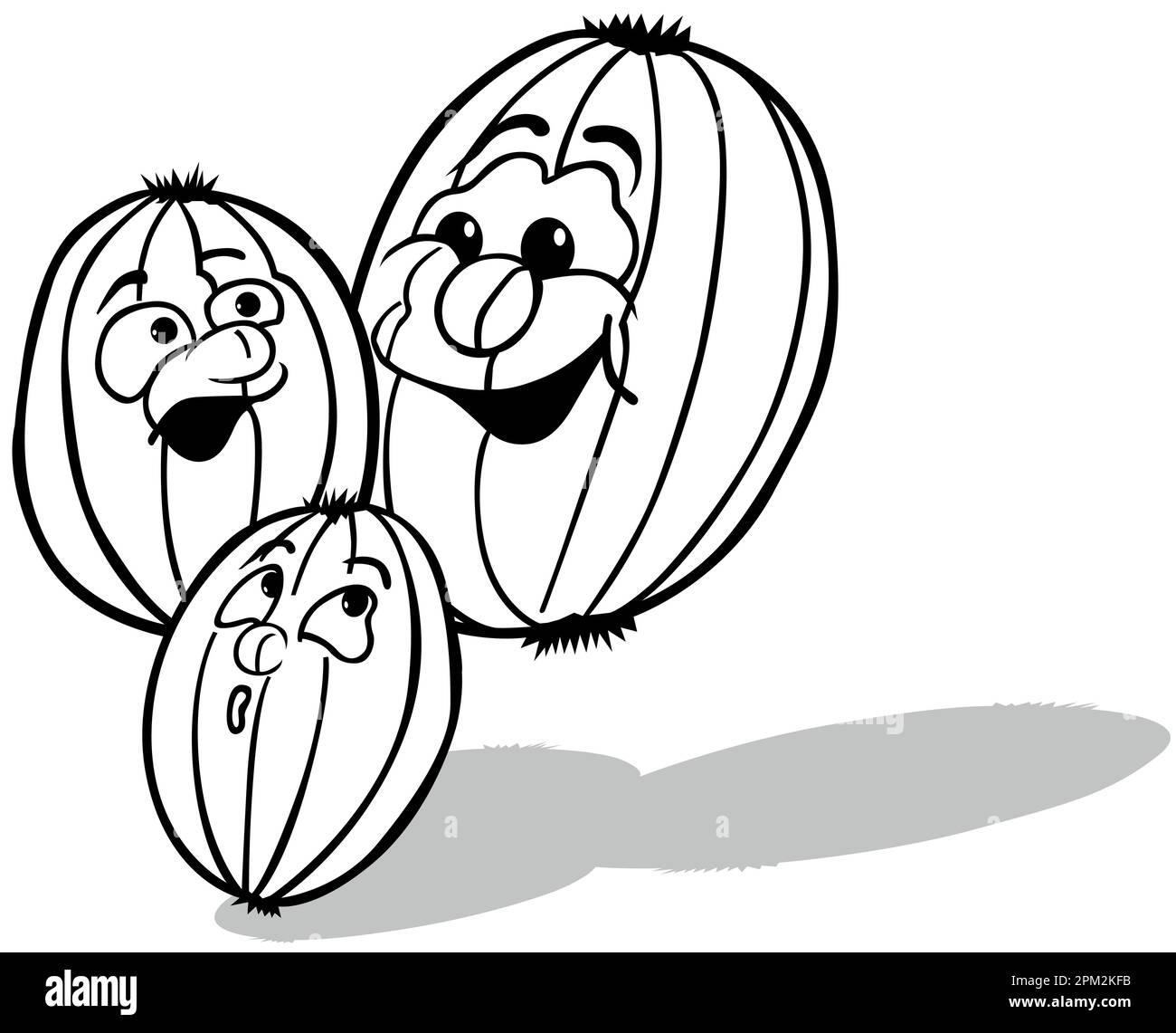 Fruit berries berry gooseberry Black and White Stock Photos & Images ...