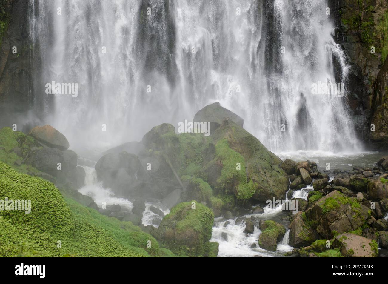 Marokopa Waterfall, Te Anga, Waitomo, North Island, New Zealand Stock ...