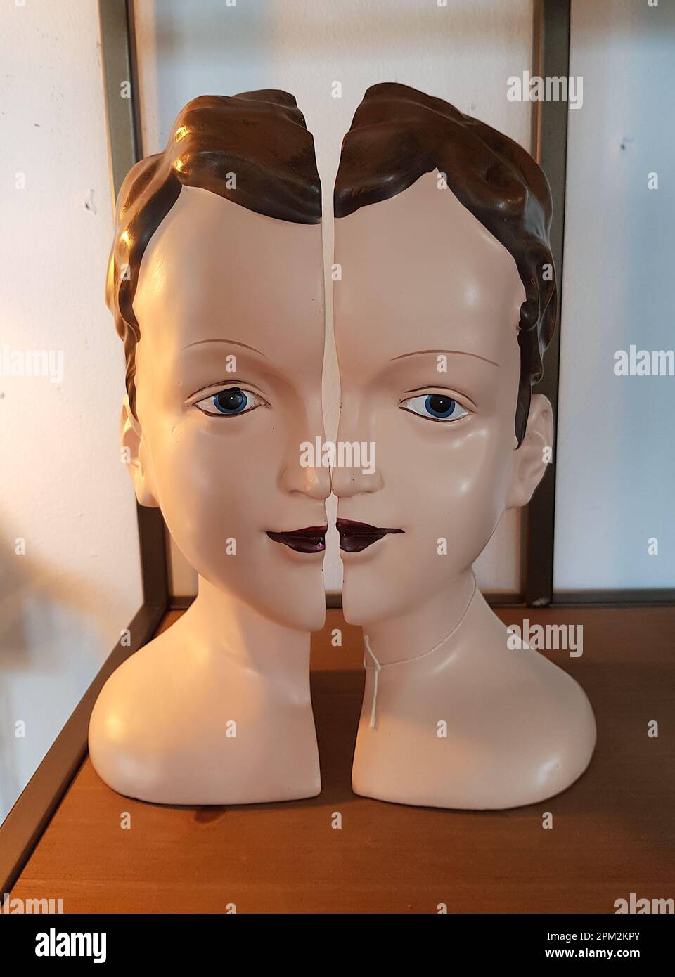 Book ends in the shape of a head Stock Photo - Alamy