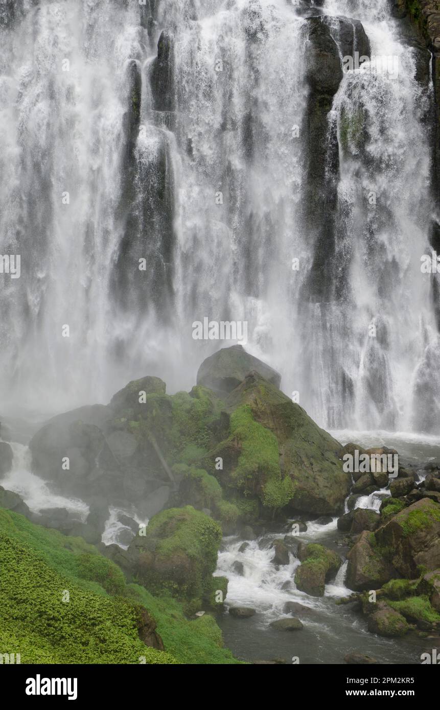 Marokopa Waterfall, Te Anga, Waitomo, North Island, New Zealand Stock ...