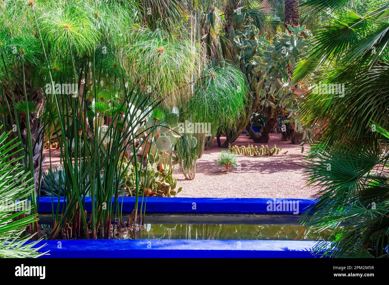 Plants and furnishing elements, architecture, bright colours, electric ...