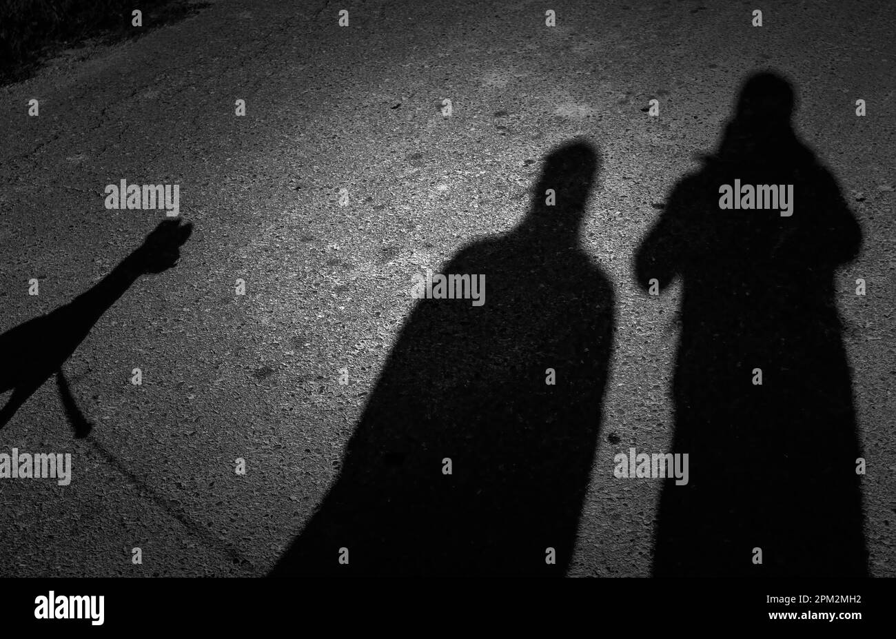 Detail of shadows of a couple walking with a dog Stock Photo - Alamy