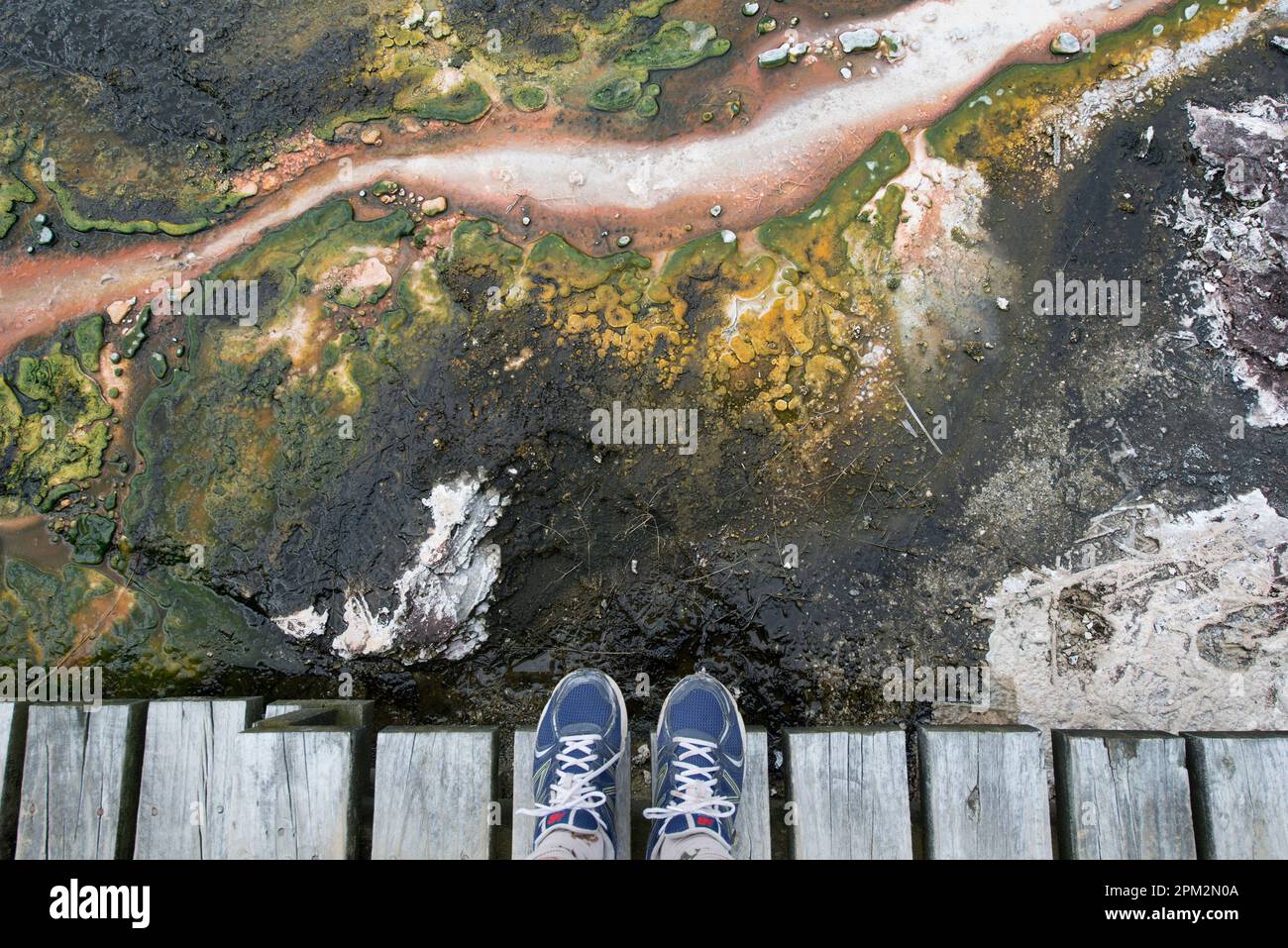Mineral deposits with feet on walkway with algae deposits from hot ...