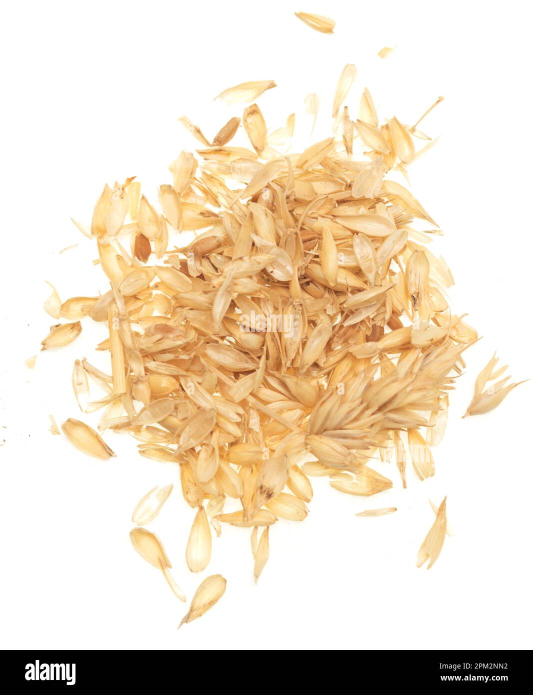 Husk isolated on white background Stock Photo - Alamy