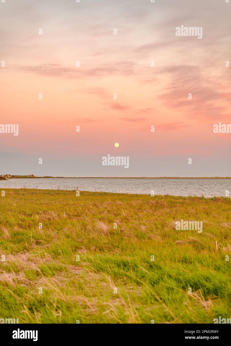 Madeleine moon hi-res stock photography and images - Alamy