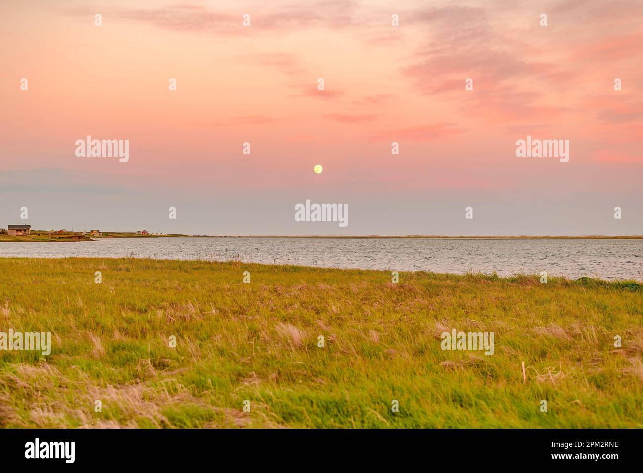 Madeleine moon hi-res stock photography and images - Alamy