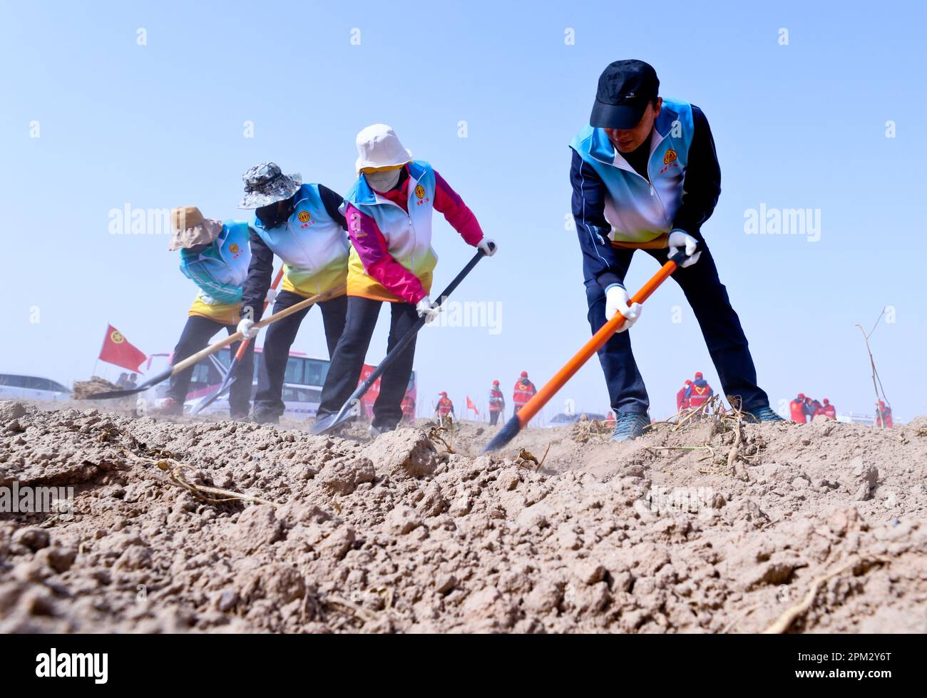 ZHANGYE, CHINA - APRIL 11, 2023 - Workers plant trees at an ecological ...