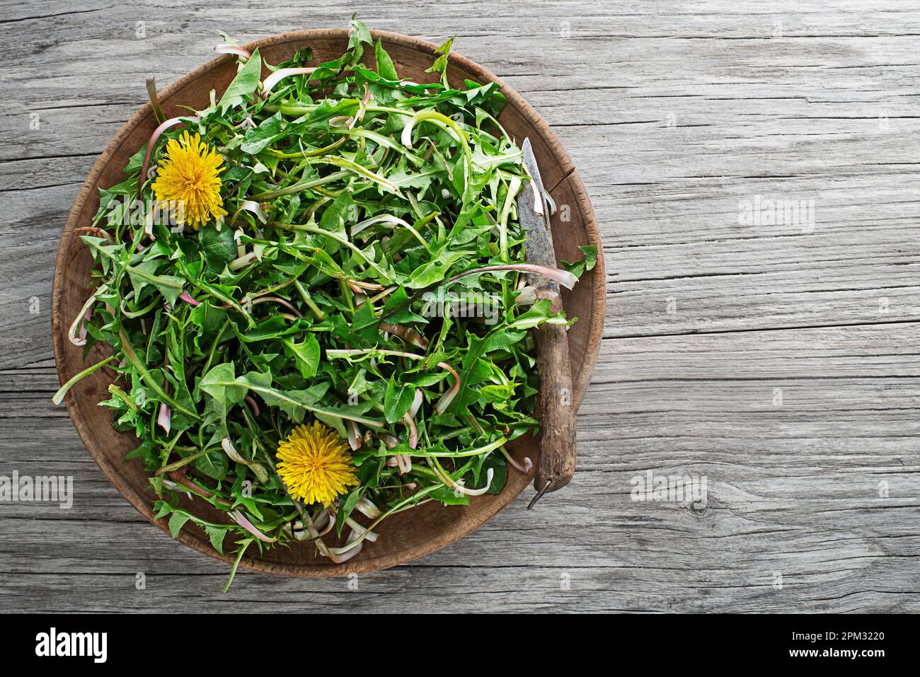 Dandelion. Picked fresh dandelion leaves Stock Photo - Alamy