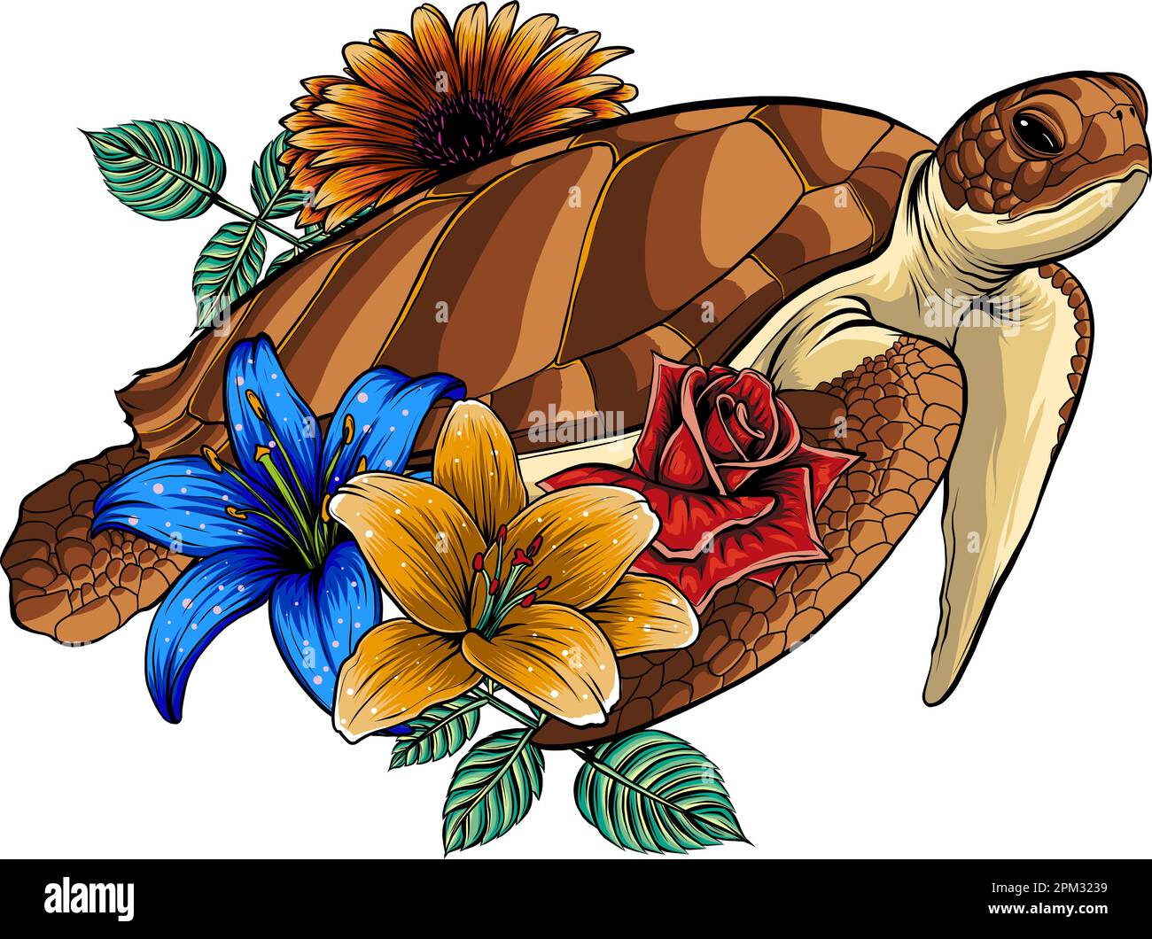 T turtle cartoon illustration Cut Out Stock Images & Pictures - Alamy
